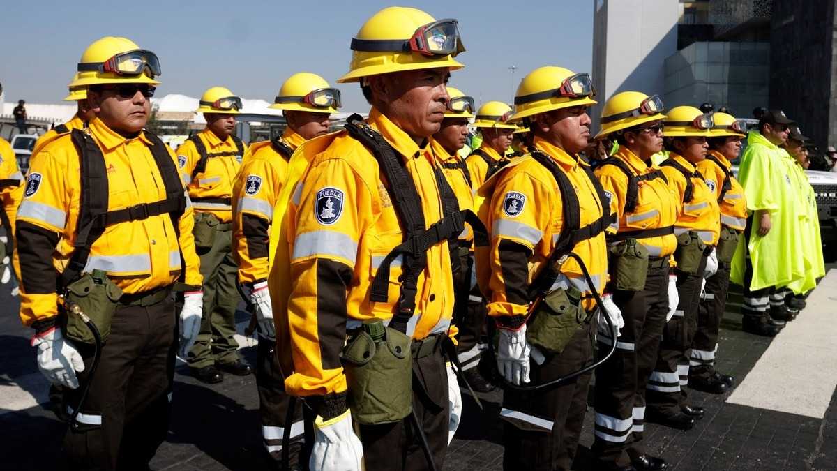 Con inversión de 60 mdp y 140 elementos crean Guardia Forestal en Puebla